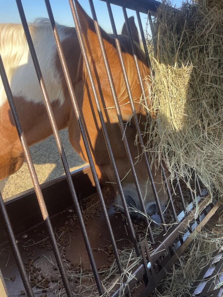 The Fussell Feeder – Fussell Farms